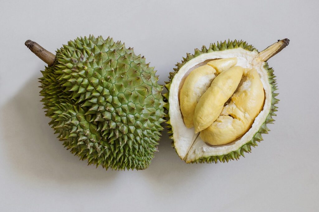 Le durian: quels sont les bienfaits de ce fruit à l'odeur puissante